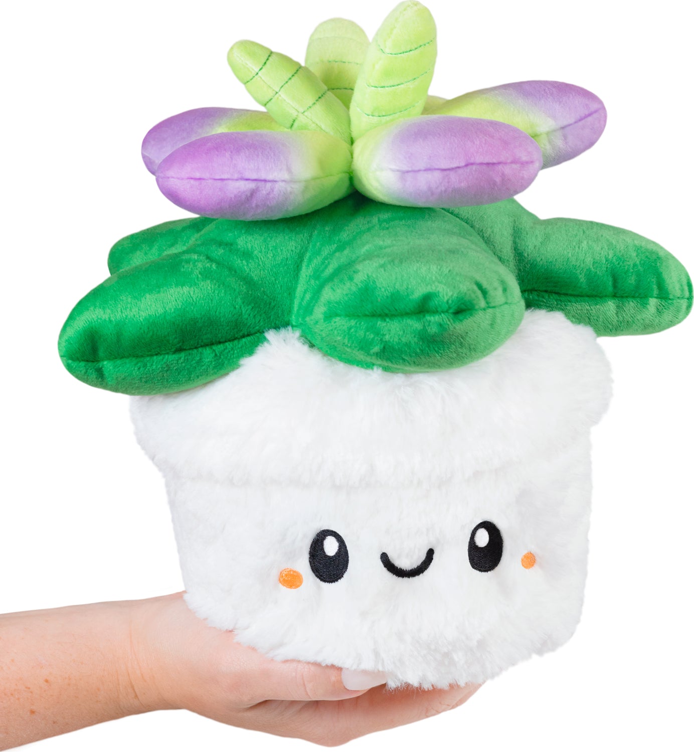 Squishables Mini Squishable Succulent – TimbukToys